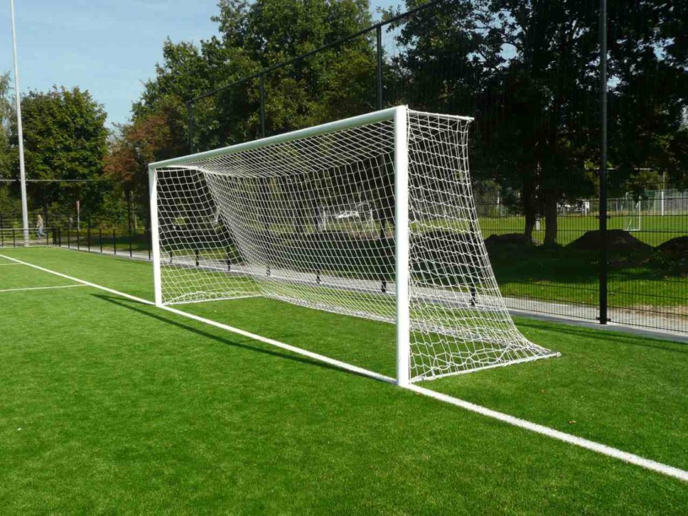 Training Goal with free net suspension - W&H Sports | EN