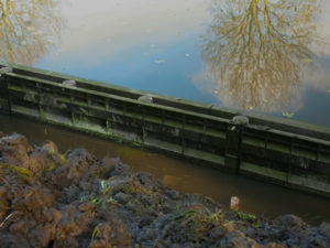 GreenMatter river bank protection - W&H Sports | EN